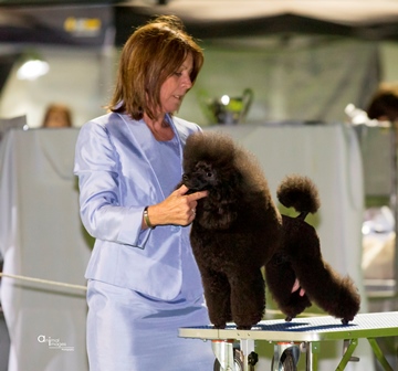This Groomers Blog – Susanne Bond